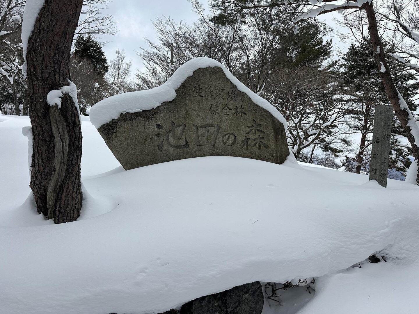 池田山 / mayu-mamaさんの池田山の活動データ | YAMAP / ヤマップ