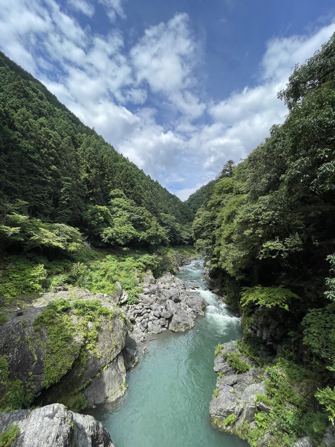 Ootama Walking Trail 大多摩ウォーキングトレイル -2023-06-24 / OBrien Andrewさんの大岳山・御岳山・御前山の活動日記 | YAMAP / ヤマップ