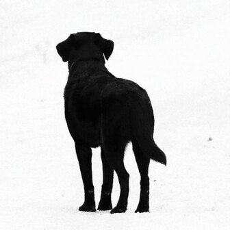 kojiyadのページ | YAMAP / ヤマップ