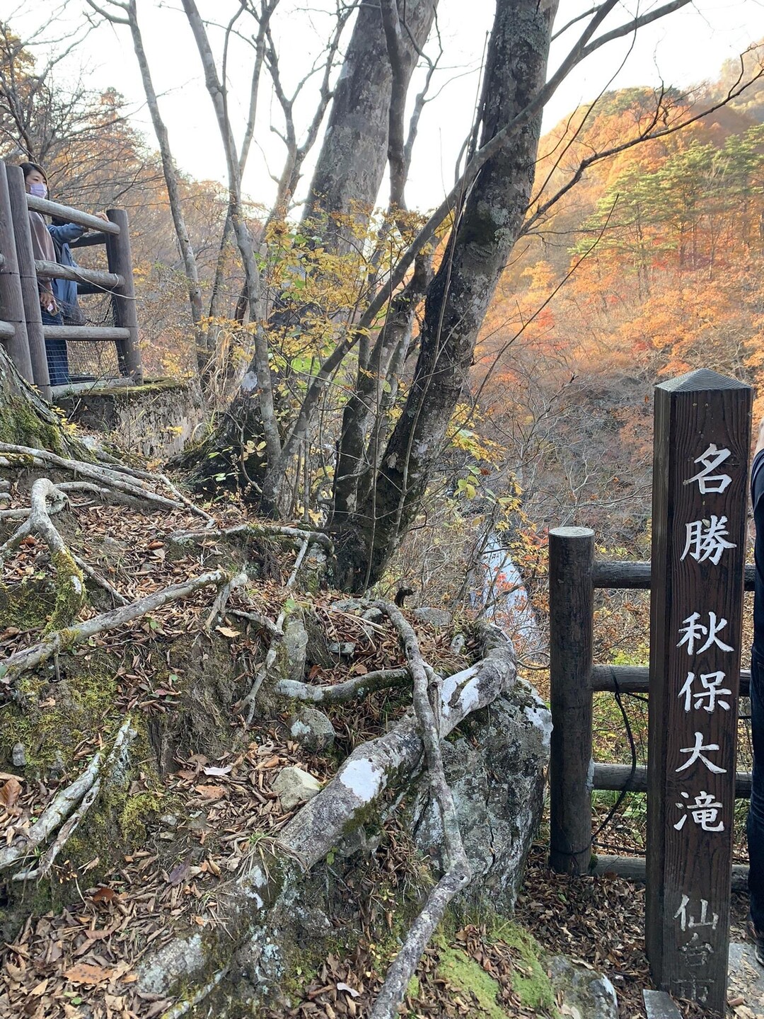 2022.11.13(日) 05:22 / バン太郎さんのモーメント | YAMAP / ヤマップ