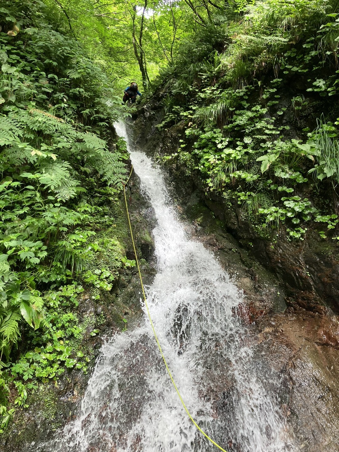 弥彦山・多宝山・雨乞山-2022-07-24 / kiku._.yokoさんの弥彦山・多宝山・雨乞山の活動データ | YAMAP / ヤマップ