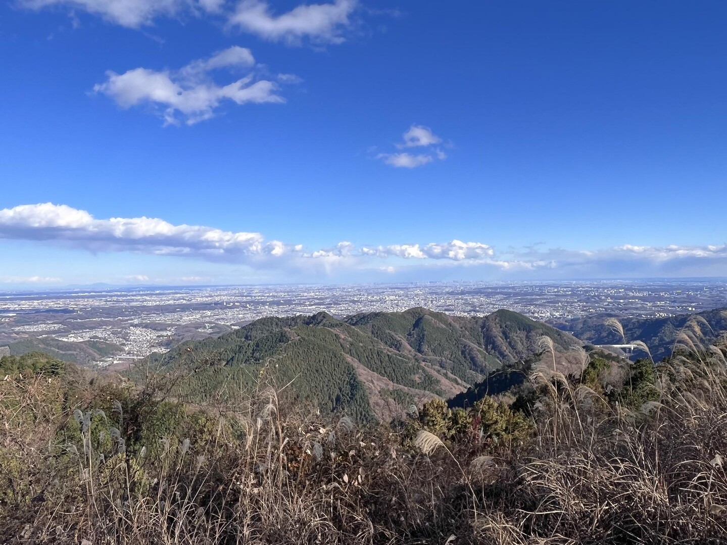 今日は景信山でモフモフ / katsさんの高尾山・陣馬山・景信山の活動データ | YAMAP / ヤマップ
