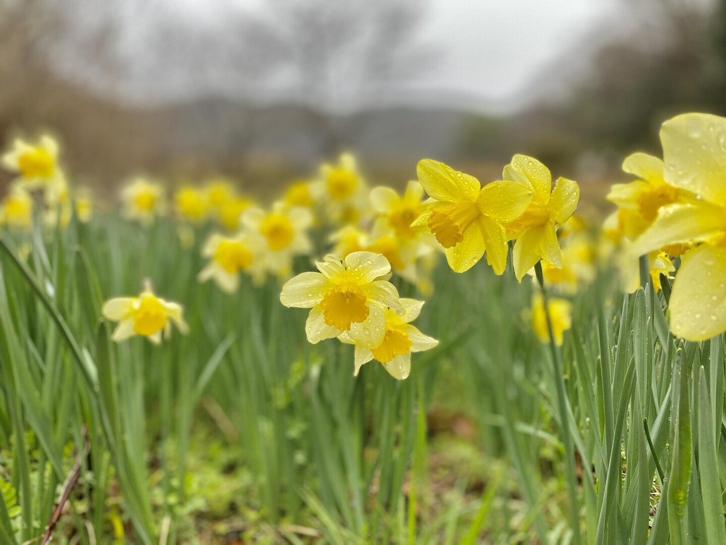 天気予報に振り回されてずぶ濡れで裏山周回😣 / Y45Uさんの各務原アルプス（関南アルプス）・八木三山の活動データ | YAMAP / ヤマップ