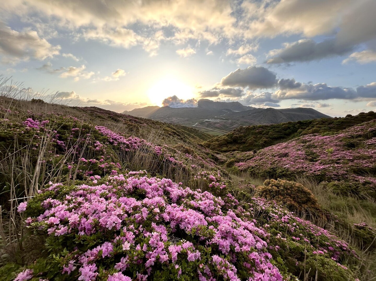 烏帽子岳 / takaさんの阿蘇山・高岳・根子岳の活動データ | YAMAP / ヤマップ