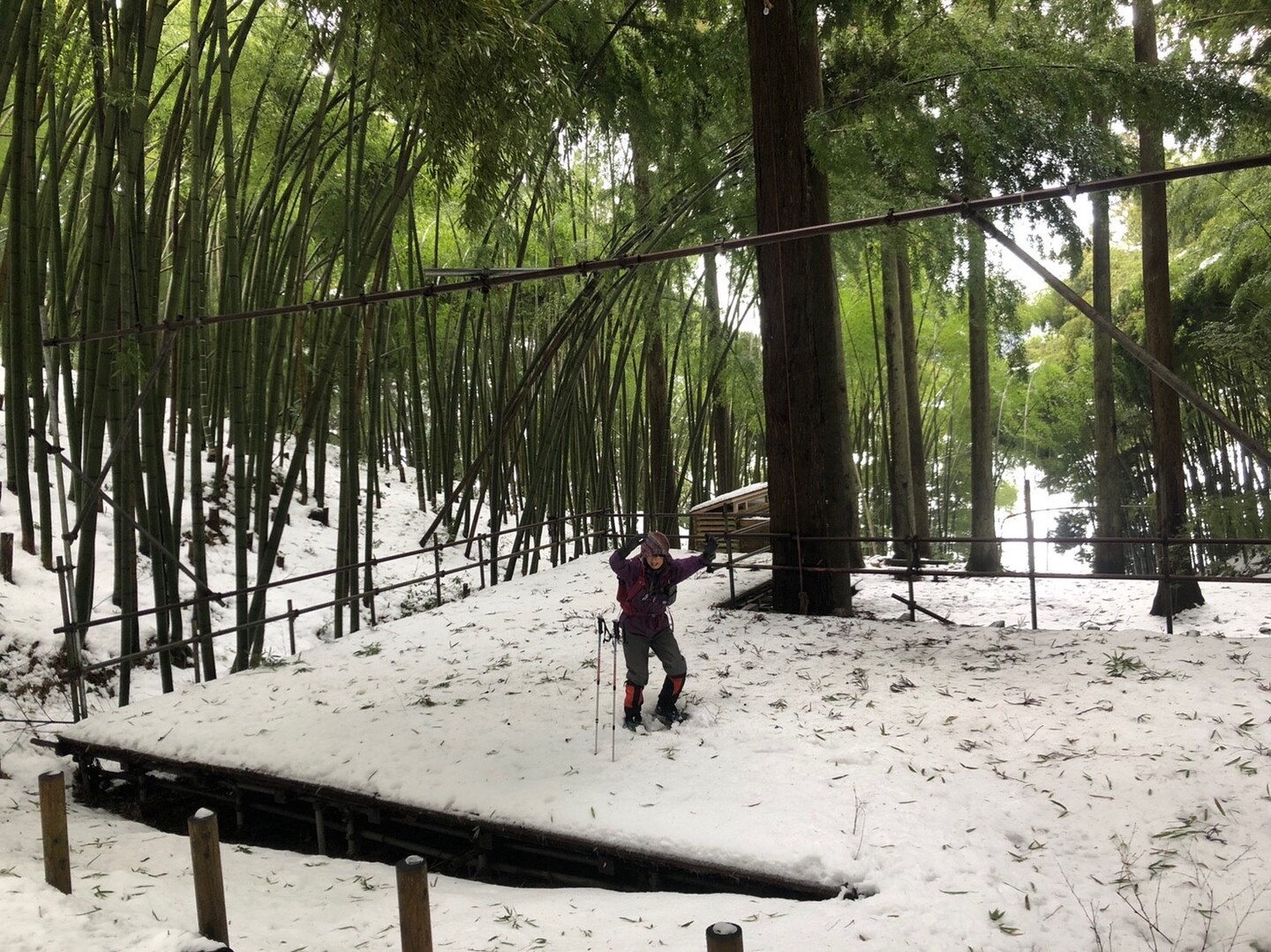 飯久保城と37.3m三角点 / hiroさんの二上山・大師ヶ岳・摩頂山の活動データ | YAMAP / ヤマップ