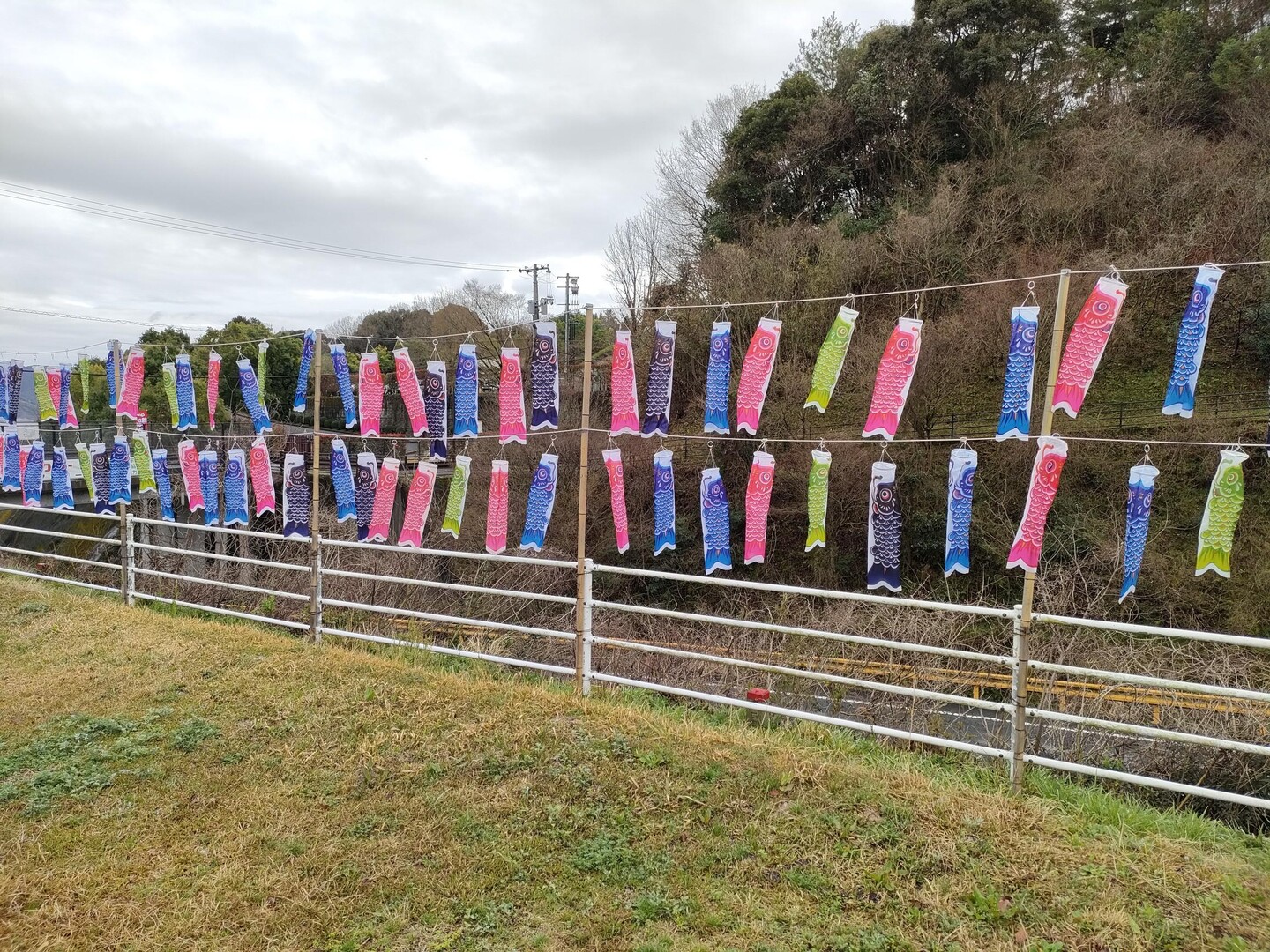 コイの季節よ〜♪ / 風待人さんのモーメント | YAMAP / ヤマップ