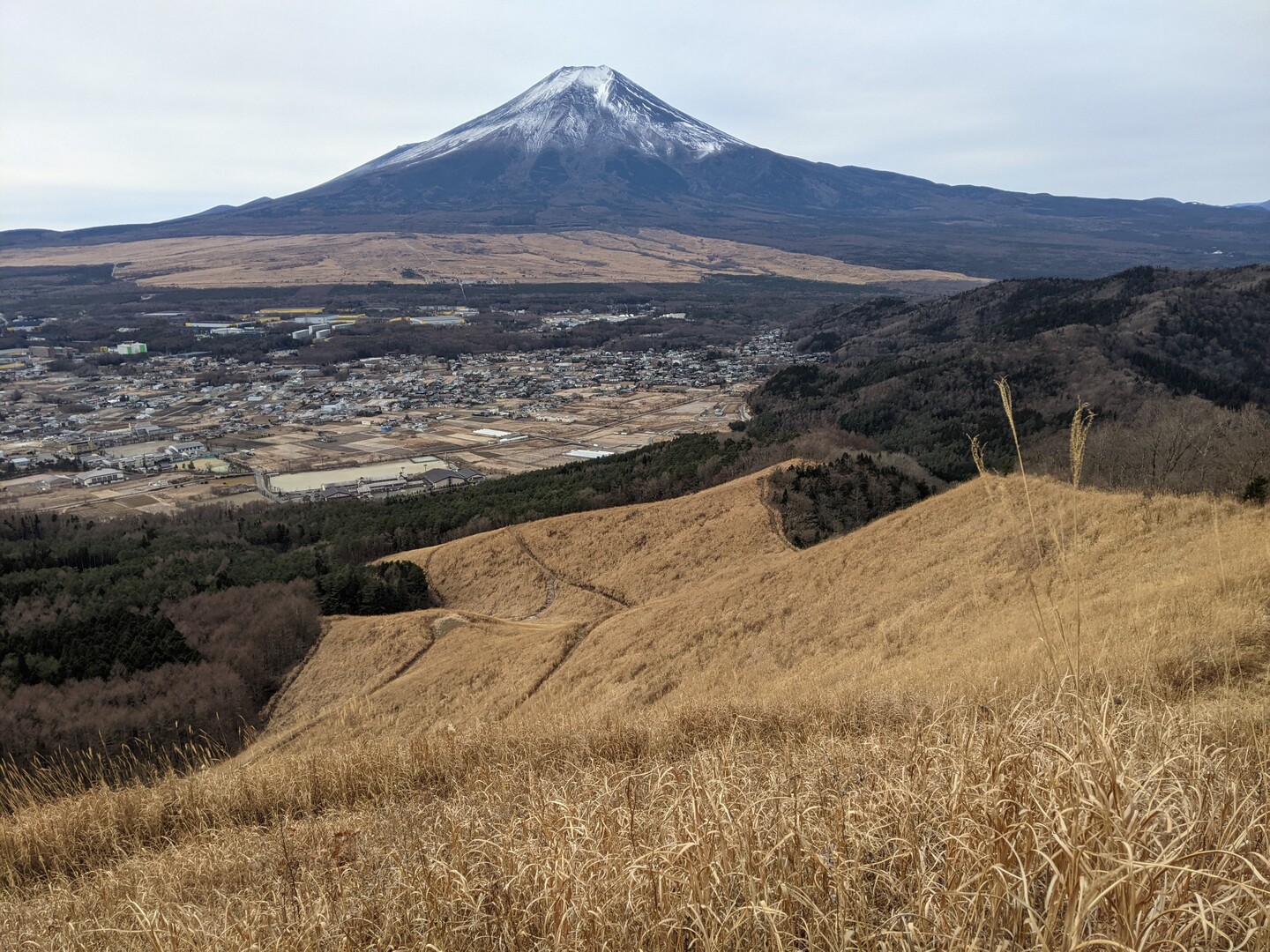 nicomomoさんの投稿したフィールドメモ | YAMAP / ヤマップ