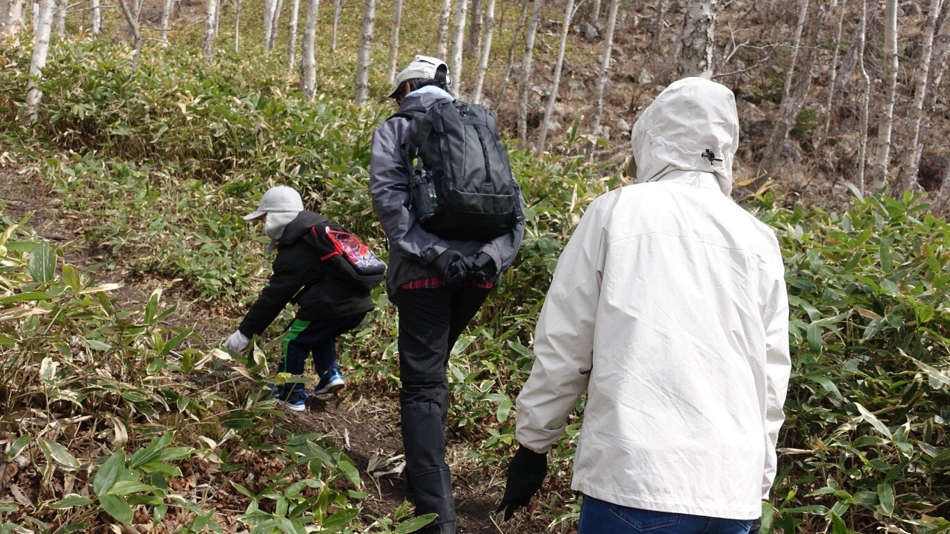 白雲山 / chiさんの白雲山の活動データ | YAMAP / ヤマップ