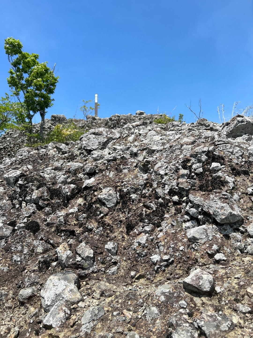 八助 (Yasuke)さんの投稿したフィールドメモ | YAMAP / ヤマップ