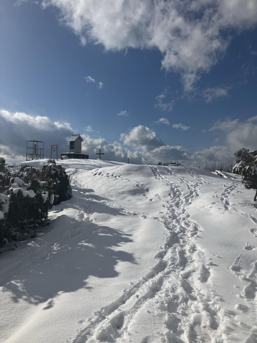 久しぶり過ぎの白木山 / kamexさんの白木山・高松山・鬼ヶ城山の活動データ | YAMAP / ヤマップ