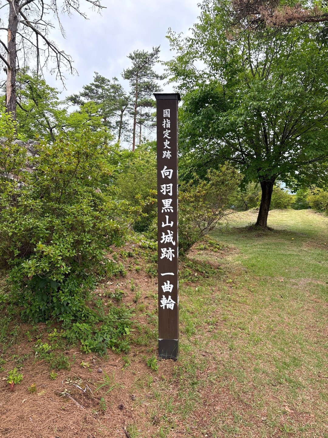 羽黒山・向羽黒山〜続100名城巡りー / BP5さんの向羽黒山・羽黒山の活動データ | YAMAP / ヤマップ