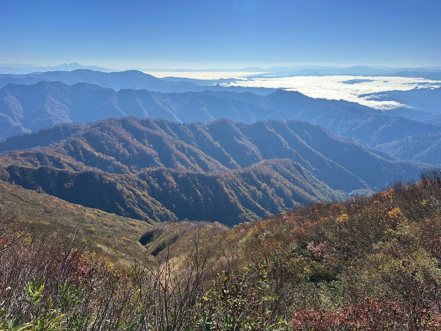 🍁紅葉season 蒜場山 / Mt.keiさんの蒜場山・焼峰山・俎倉山の活動データ | YAMAP / ヤマップ