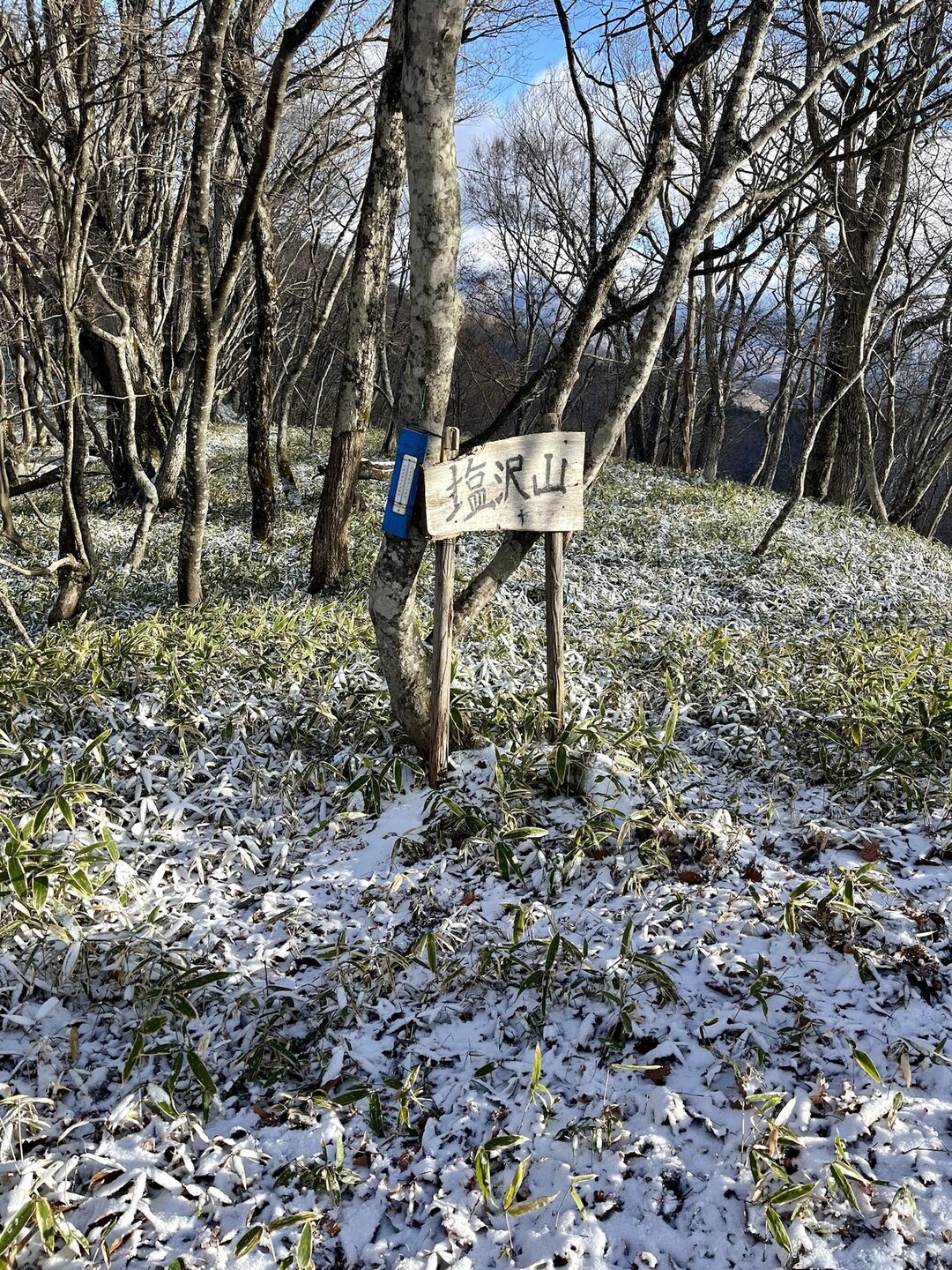 栃百の塩沢山へ🍂 / yamameさんの塩沢山の活動日記 | YAMAP / ヤマップ