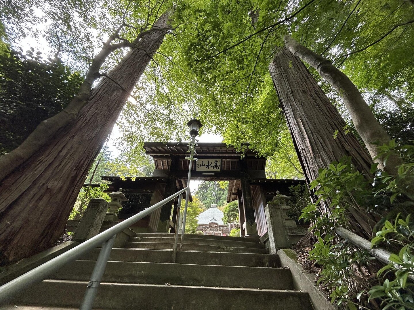 馬仏山・岩茸石山・高水山 / Eccoさんの高水山・岩茸石山・惣岳山の活動データ | YAMAP / ヤマップ