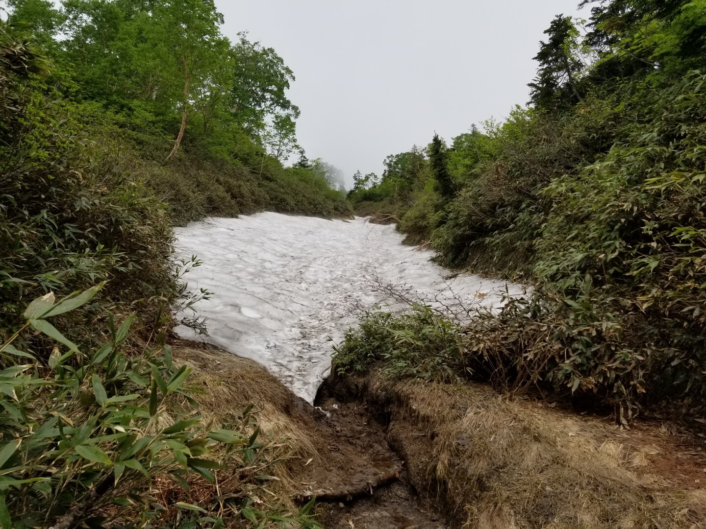 tako2019さんの投稿したフィールドメモ | YAMAP / ヤマップ