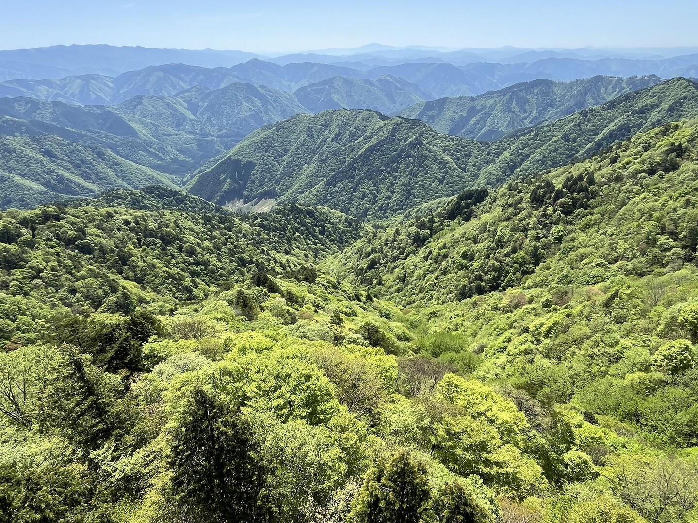 新緑と花の簗谷山 / Jさんの簗谷山の活動データ | YAMAP / ヤマップ
