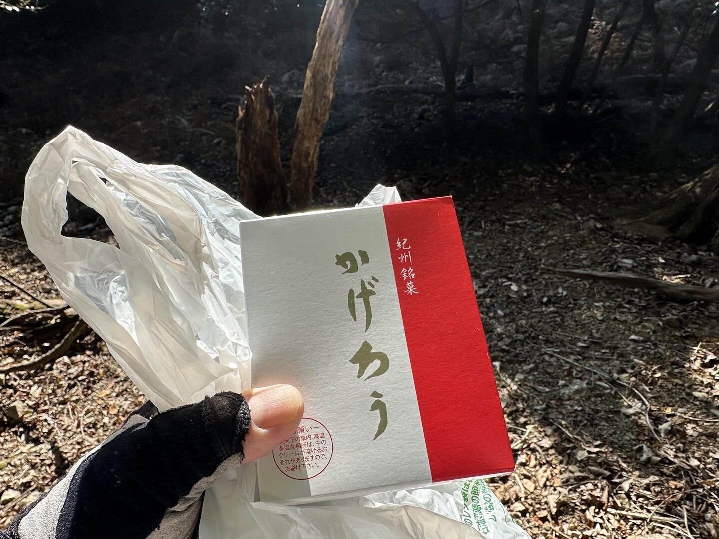 行者ヶ森 / KOUJI-hiraさんの音羽山・醍醐山の活動データ | YAMAP / ヤマップ