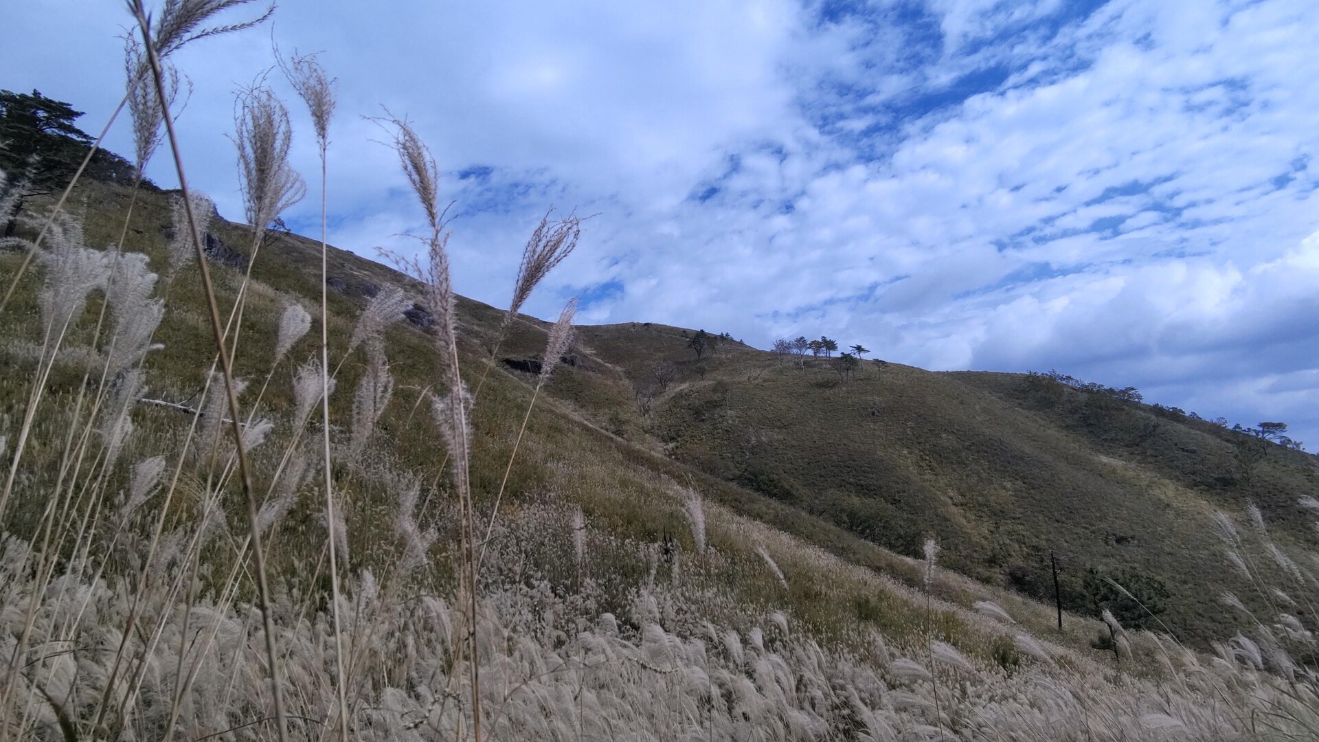 深入山 / Ymarpyさんの深入山の活動データ | YAMAP / ヤマップ