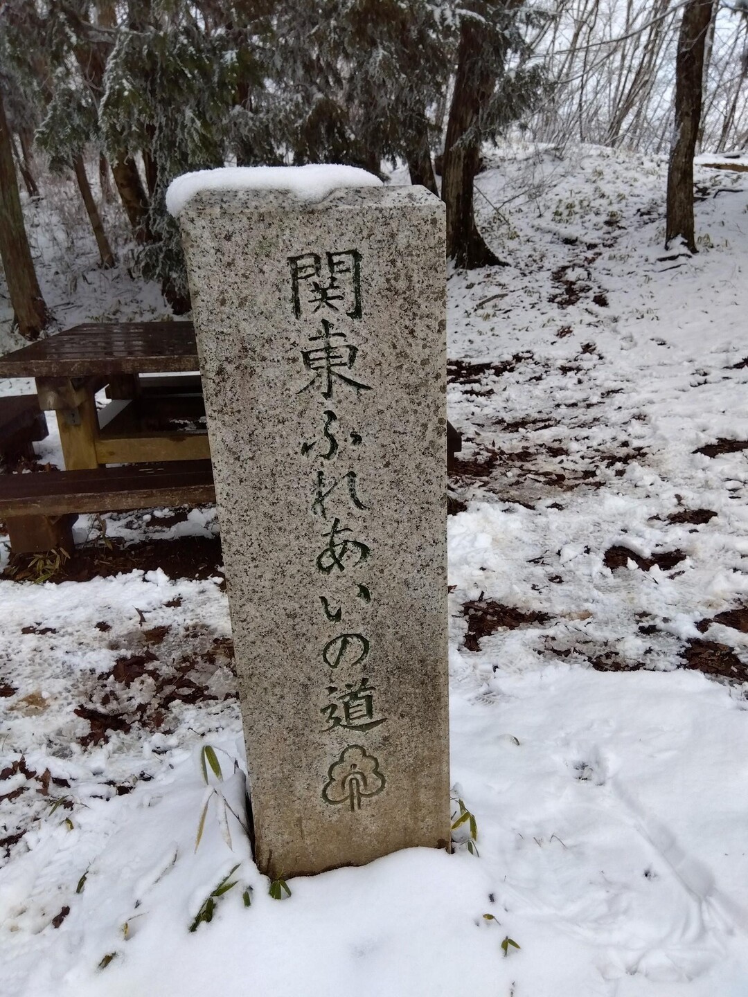 陣馬山・高岩山・メシモリ岩山・醍醐丸・大蔵里山（東峰）・大蔵里山・連行峰（連行山）・茅丸・生藤... / Mr.Tさんの高尾山・陣馬山・景信山の活動データ | YAMAP / ヤマップ