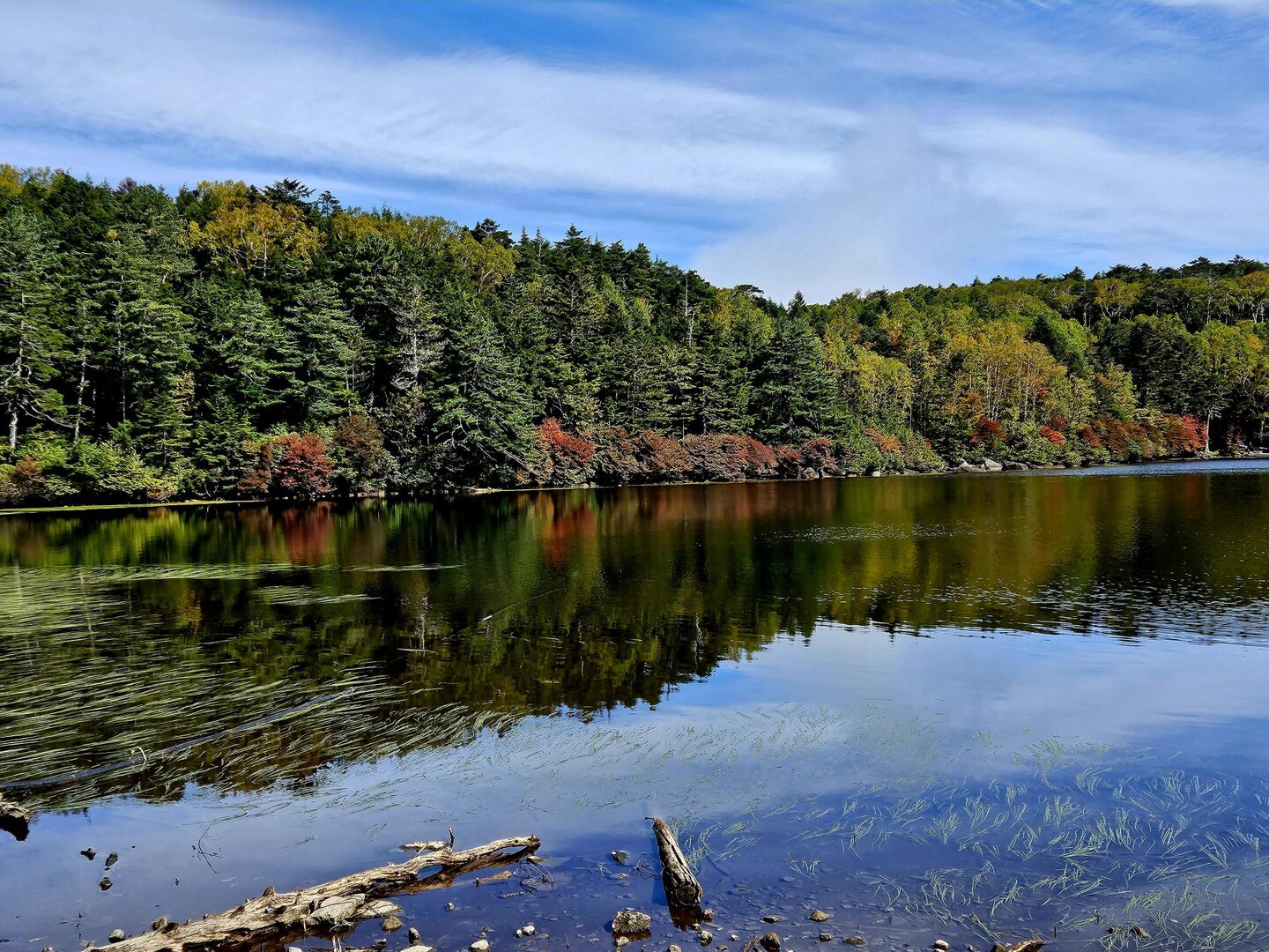 白駒池 紅葉の様子を見にいってきました🍁 / yky-go(ゆき)さんの八ヶ岳（赤岳・硫黄岳・天狗岳）の活動日記 | YAMAP / ヤマップ