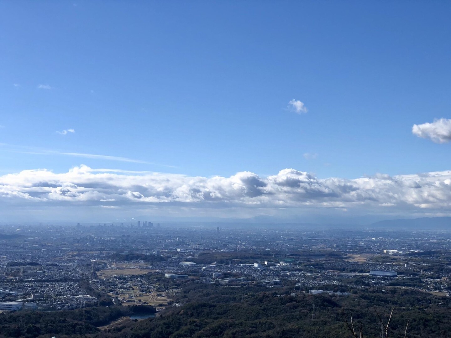 賑やか弥勒山🎍 / RYさんの春日井三山・弥勒山・大谷山・道樹山の活動データ | YAMAP / ヤマップ