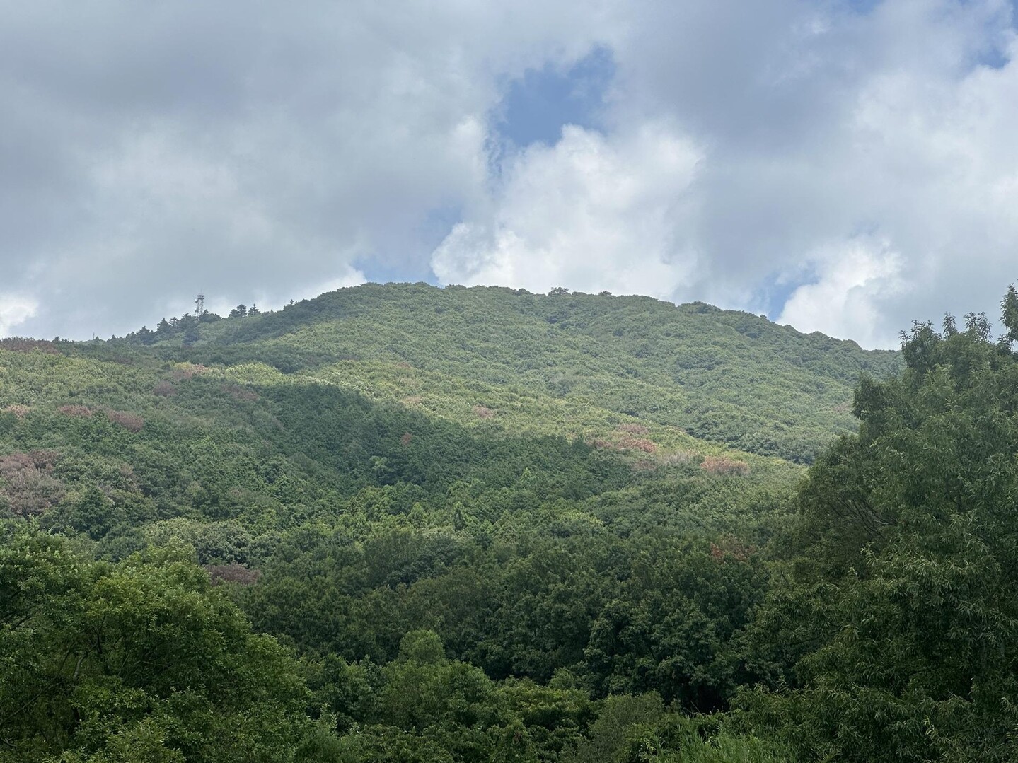 宝篋山・尖浅間山 / puku68さんの宝篋山・富岡山の活動データ | YAMAP / ヤマップ