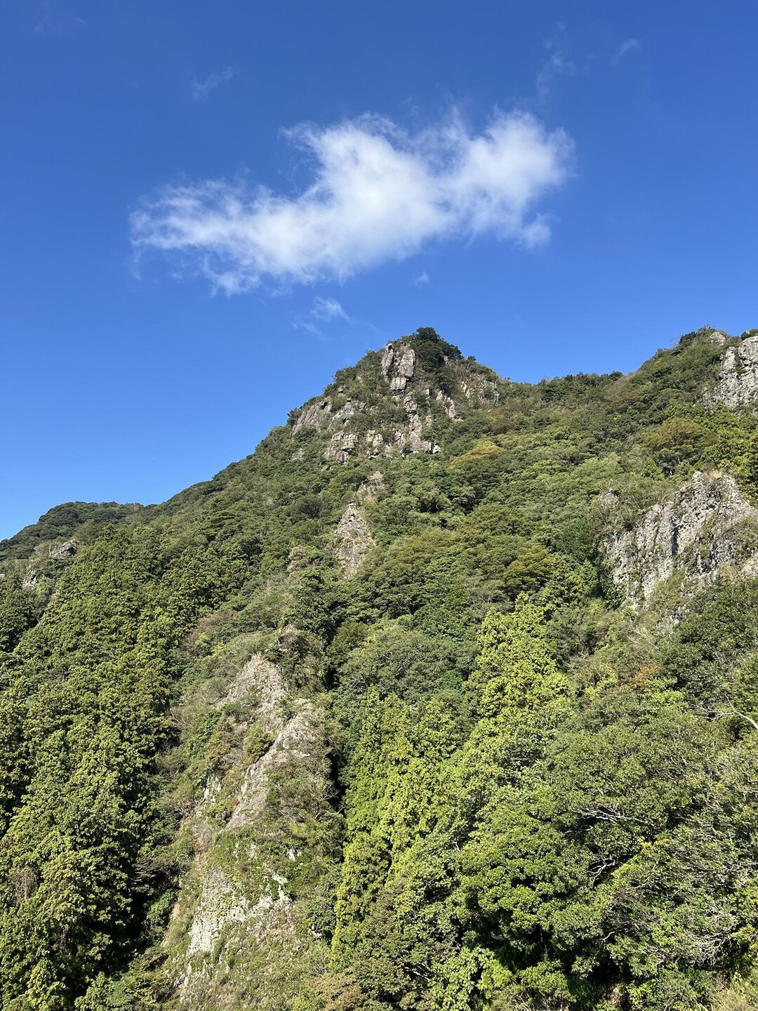 津波戸山 / Masakaさんの御許山・雲ヶ岳・米神山の活動データ | YAMAP / ヤマップ