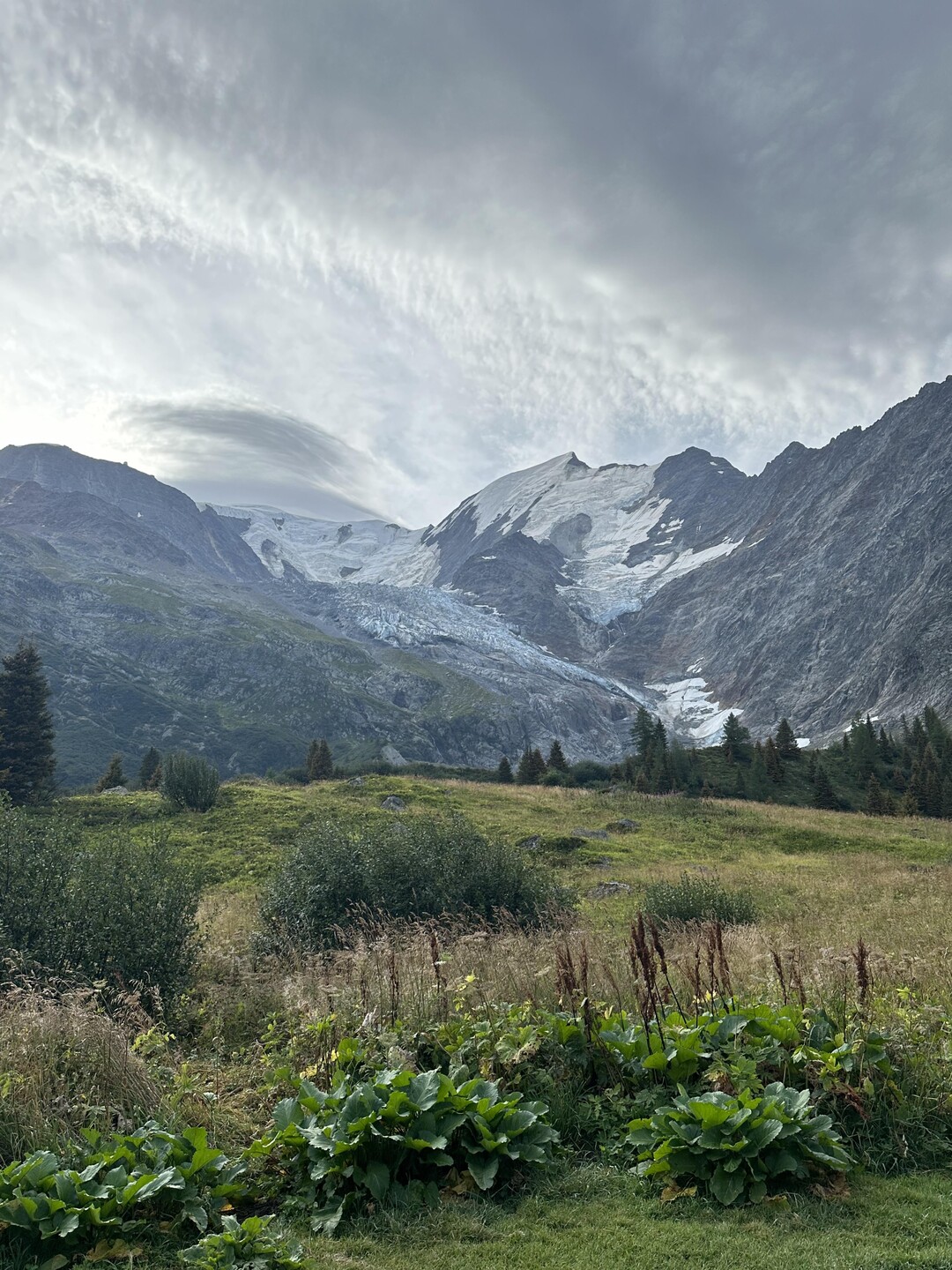 TMB3日目 Les Houches - Les Contamines / laniさんのシャモニーの活動日記 | YAMAP / ヤマップ