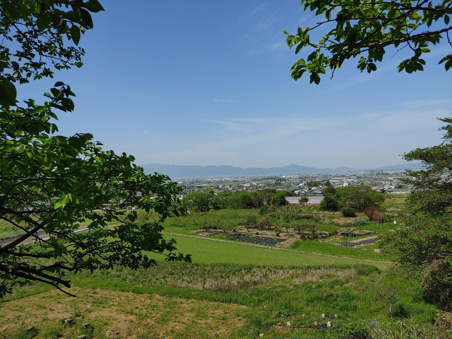 山の辺の道マラニック（JR奈良駅～桜井駅） / とよたんさんのランニングの活動データ | YAMAP / ヤマップ