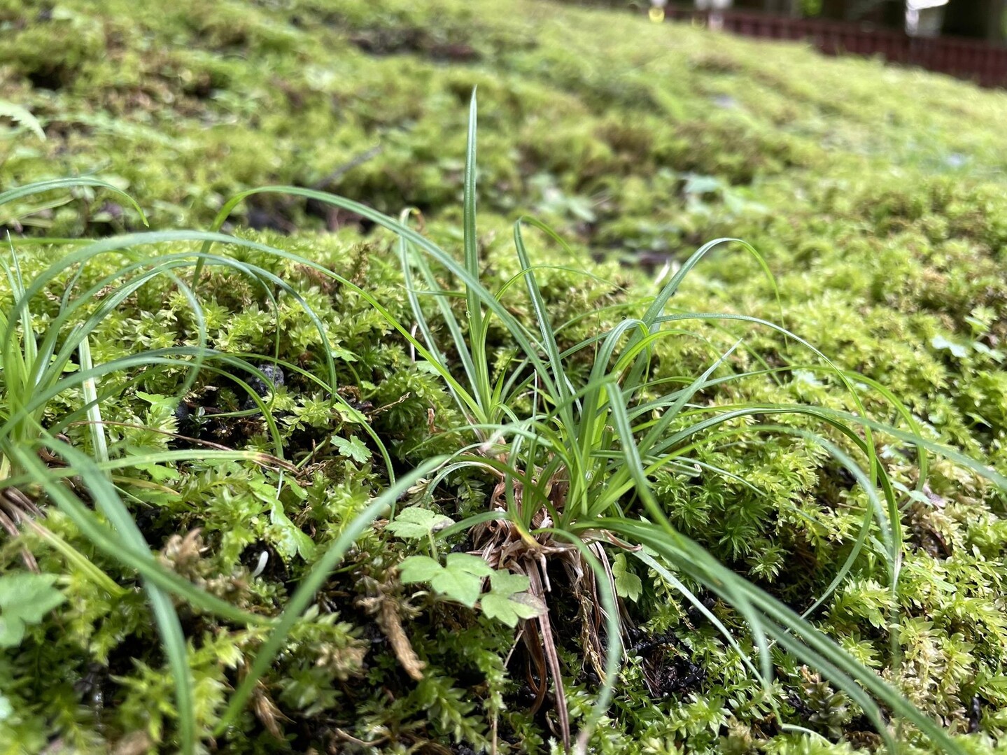 2022.09.21(水) 21:46 / ケロケロ🐸🐸🐸さんのモーメント | YAMAP / ヤマップ