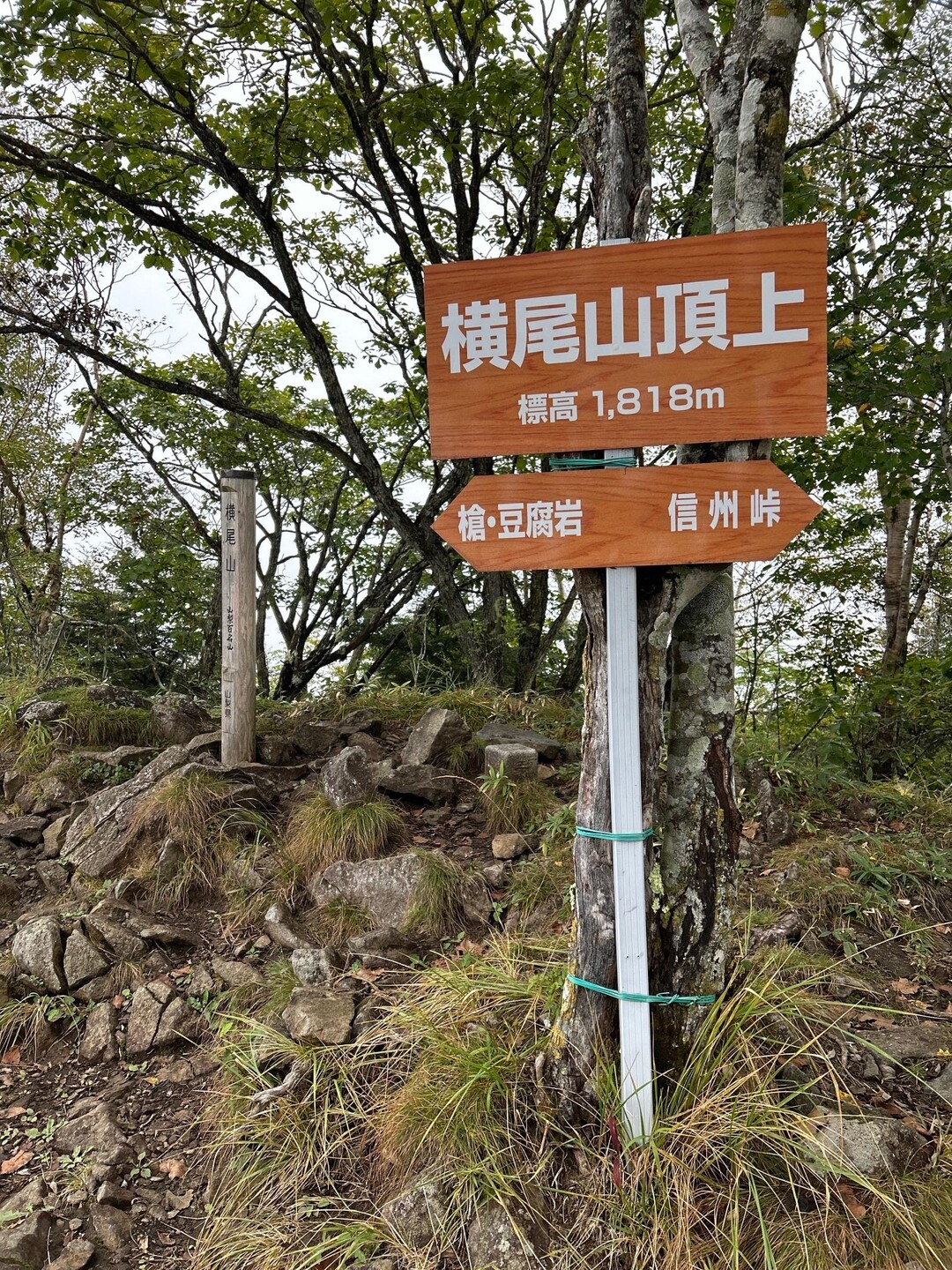 リハビリVer3 横尾山 / かつさんの飯盛山の活動データ | YAMAP / ヤマップ