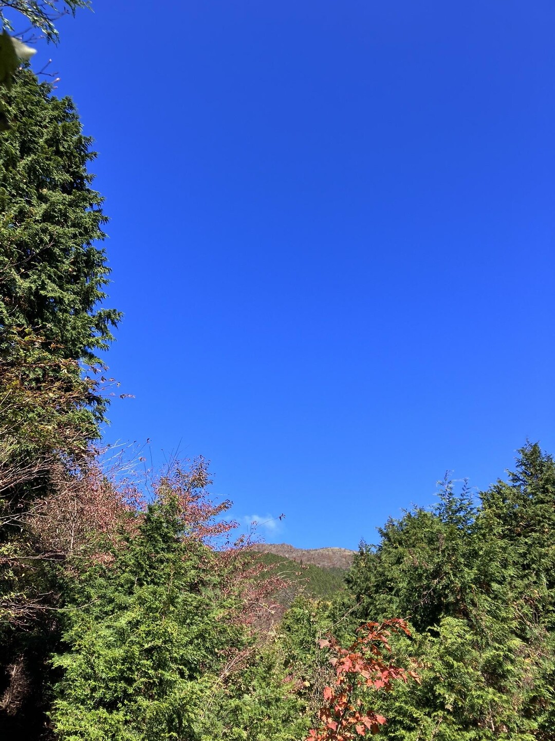 那岐山 / KAZ。さんの那岐山・滝山・広戸仙の活動データ | YAMAP / ヤマップ