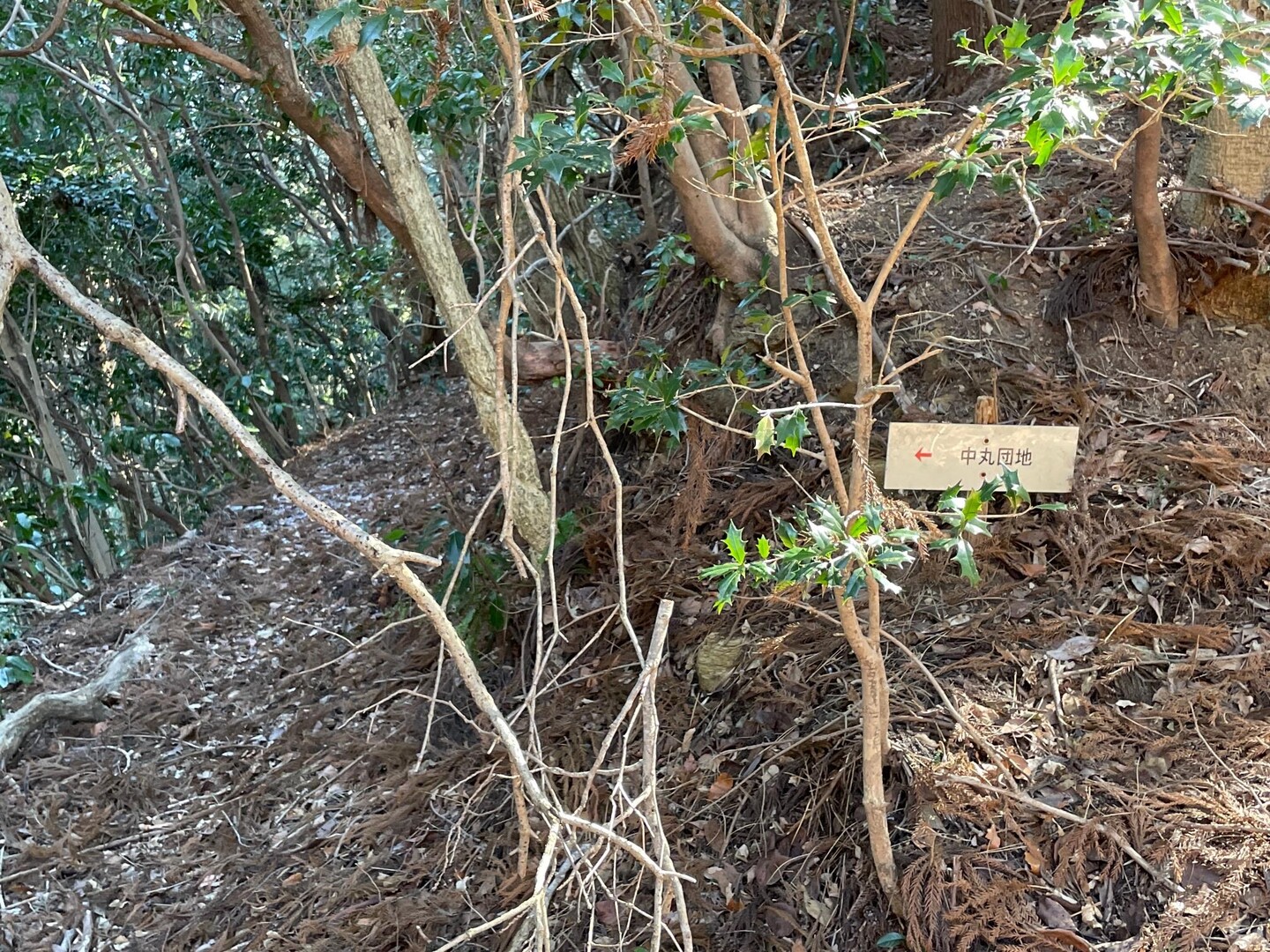 von Sigさんの投稿したフィールドメモ | YAMAP / ヤマップ