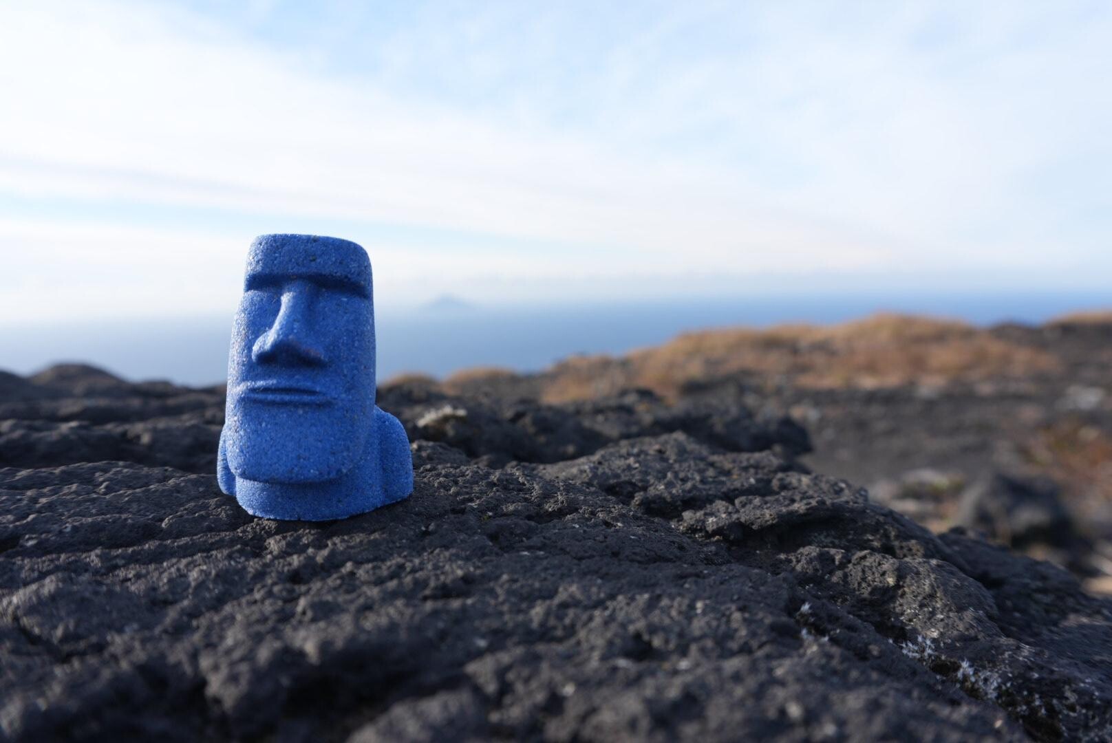 伊豆大島 三原山 •*¨*•.¸¸♬︎ / eriさんの伊豆大島・三原山の活動データ | YAMAP / ヤマップ