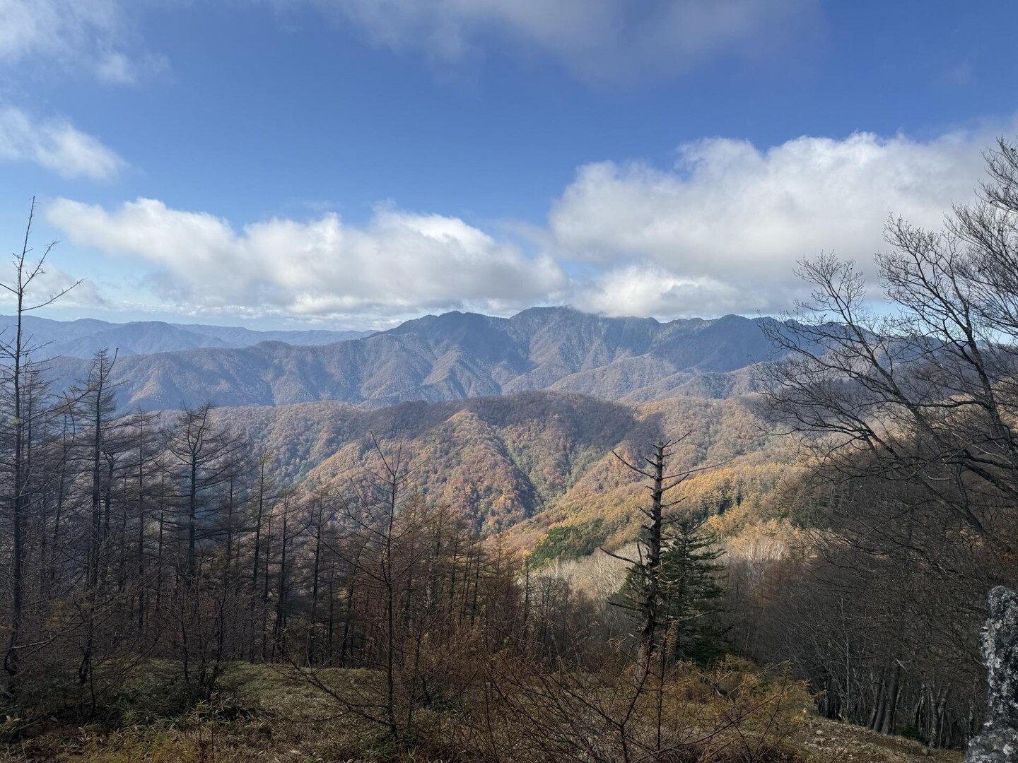 七ツ石山・ヨモギノ頭・小雲取山・雲取山 / Meiさんの雲取山・鷹ノ巣山・七ツ石山の活動データ | YAMAP / ヤマップ