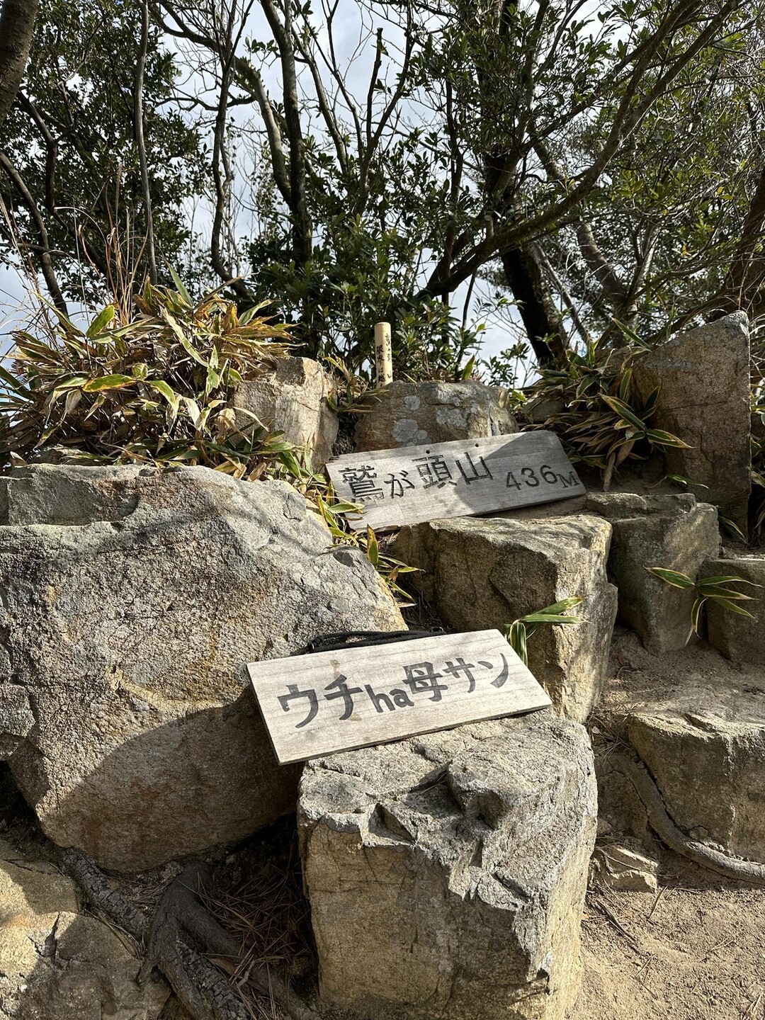 2023.11.25(土) ②しまなみ海... / ヒロ ⸜( * ॑꒳ ॑*)⸝ꔛ‬♡｡．さんのモーメント | YAMAP / ヤマップ