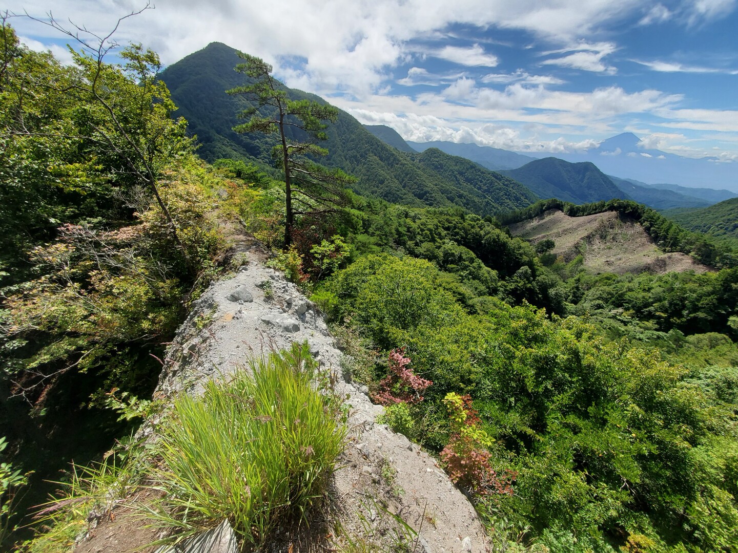 茅ヶ岳⇒曲岳⇒黒富士⇒太刀岡山 / IKM'Sさんの茅ヶ岳・金ヶ岳・太刀岡山の活動データ | YAMAP / ヤマップ