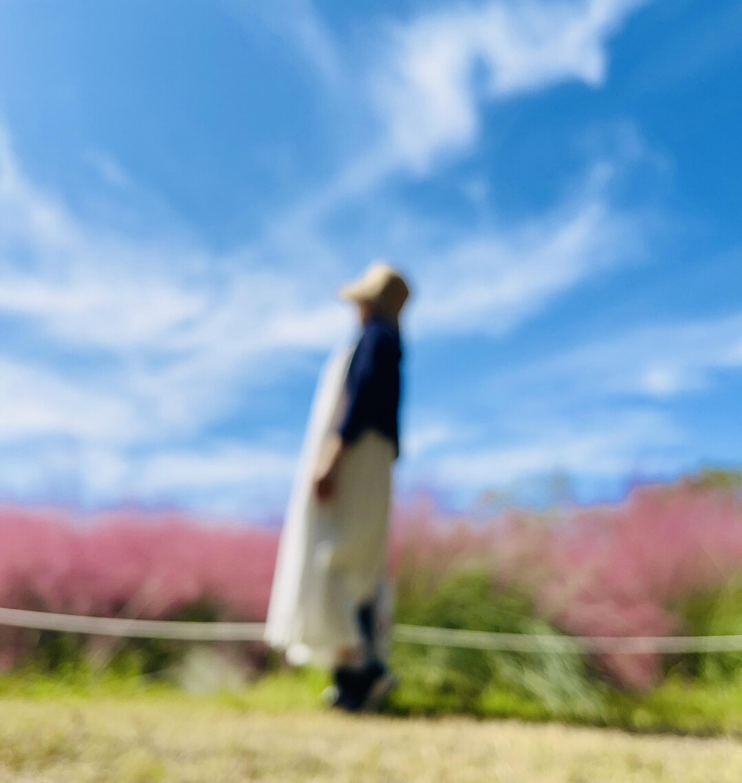 ウォーキング万博記念公園-2023-10-11 / haruさんのウォーキングの活動データ | YAMAP / ヤマップ