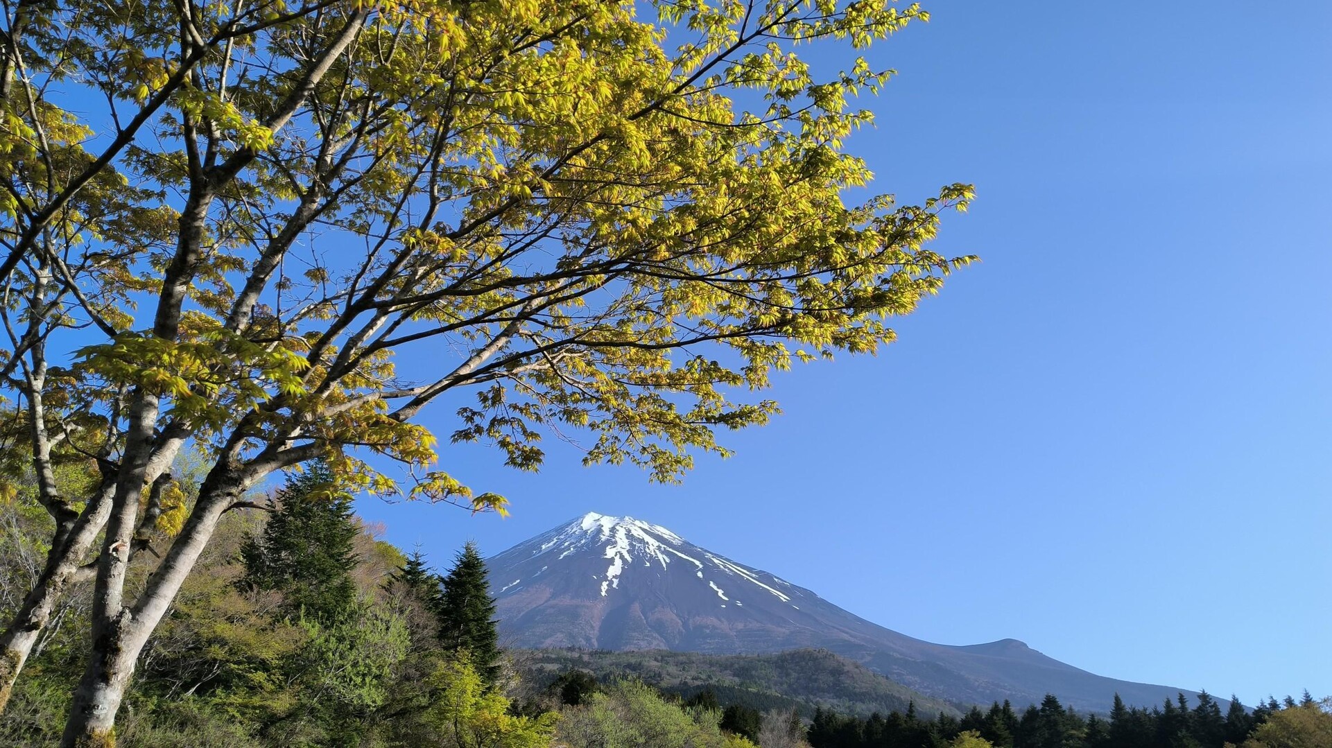 宝永山 / Koheiさんの富士山の活動データ | YAMAP / ヤマップ