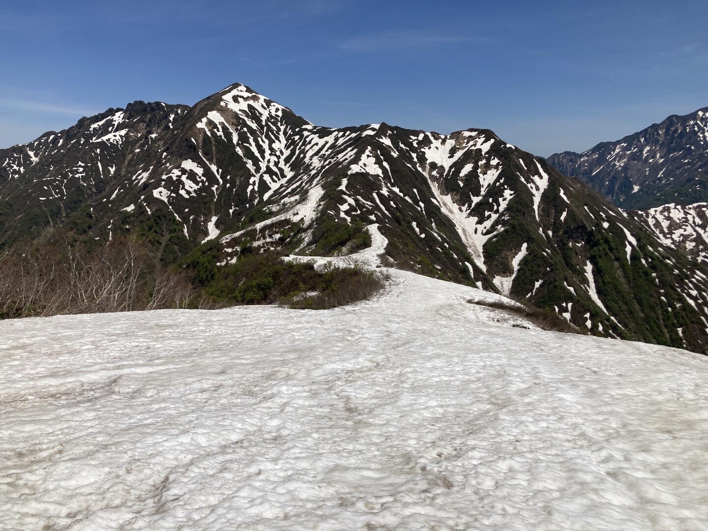 阿寺山・五龍岳 / mickey hoshinoさんの越後駒ヶ岳・八海山・中ノ岳の活動データ | YAMAP / ヤマップ