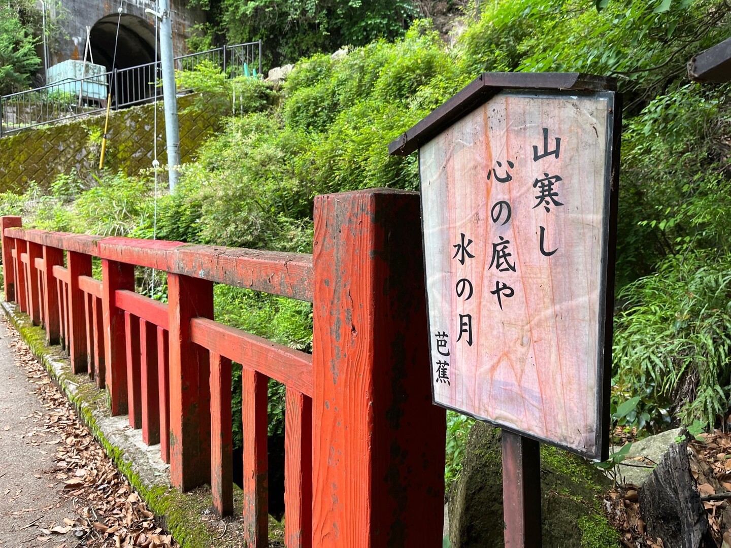 大山（2回目） / teiiiineさんの大山の活動データ | YAMAP / ヤマップ