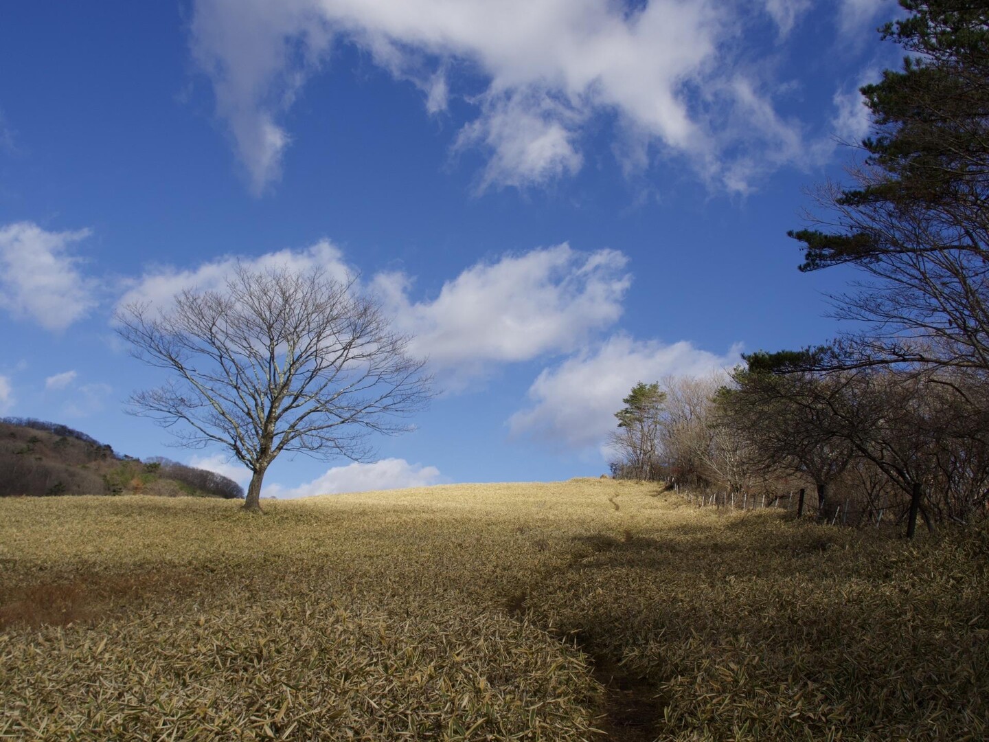 隠れ三滝〜日光大山 / しんさんの女峰山・赤薙山・大真名子山の活動データ | YAMAP / ヤマップ