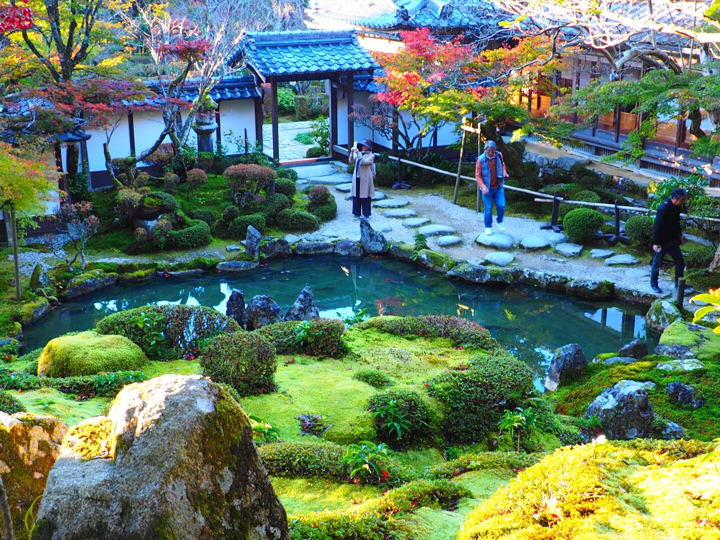 青龍山・胡宮神社・西明寺 / sensaさんの青龍山の活動データ | YAMAP / ヤマップ