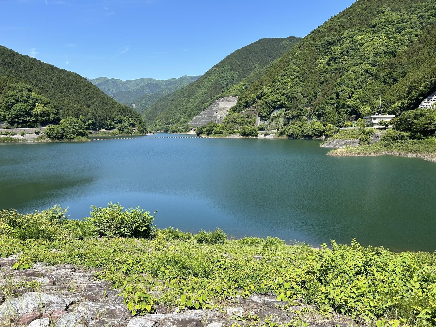 棒ノ嶺（棒ノ折山） / Tom Sakaiさんの棒ノ折山（棒ノ嶺）の活動データ | YAMAP / ヤマップ