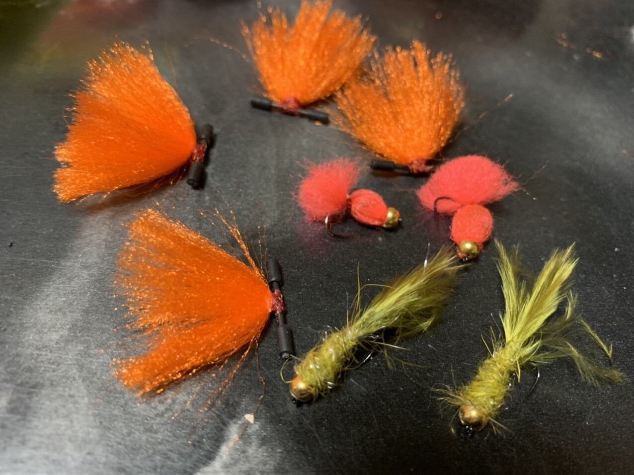 登山関係なくてすまそん🥺 近々、管理釣... / Mino 0901さんのモーメント | YAMAP / ヤマップ