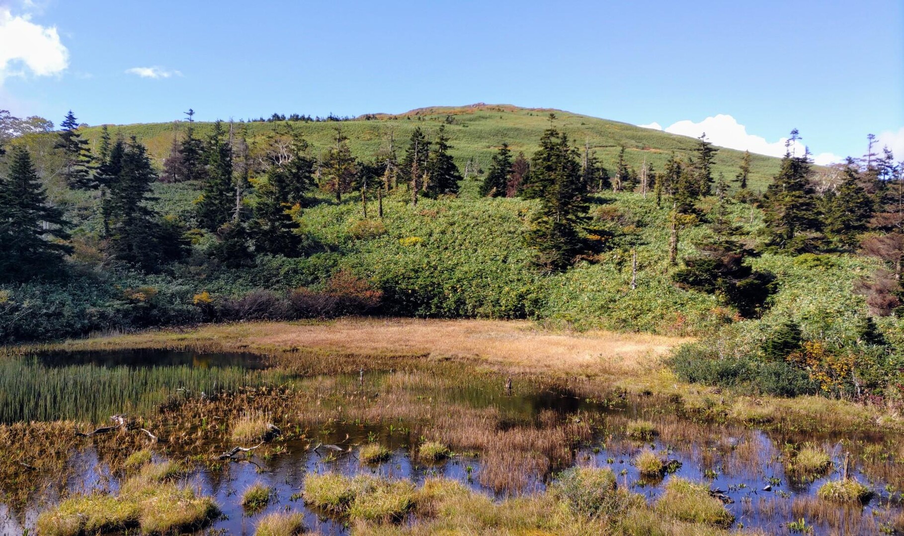 東北遠征 その2 烈風の三ツ石山 / kyonkyonさんの三ッ石山・大深岳・諸桧岳の活動データ | YAMAP / ヤマップ