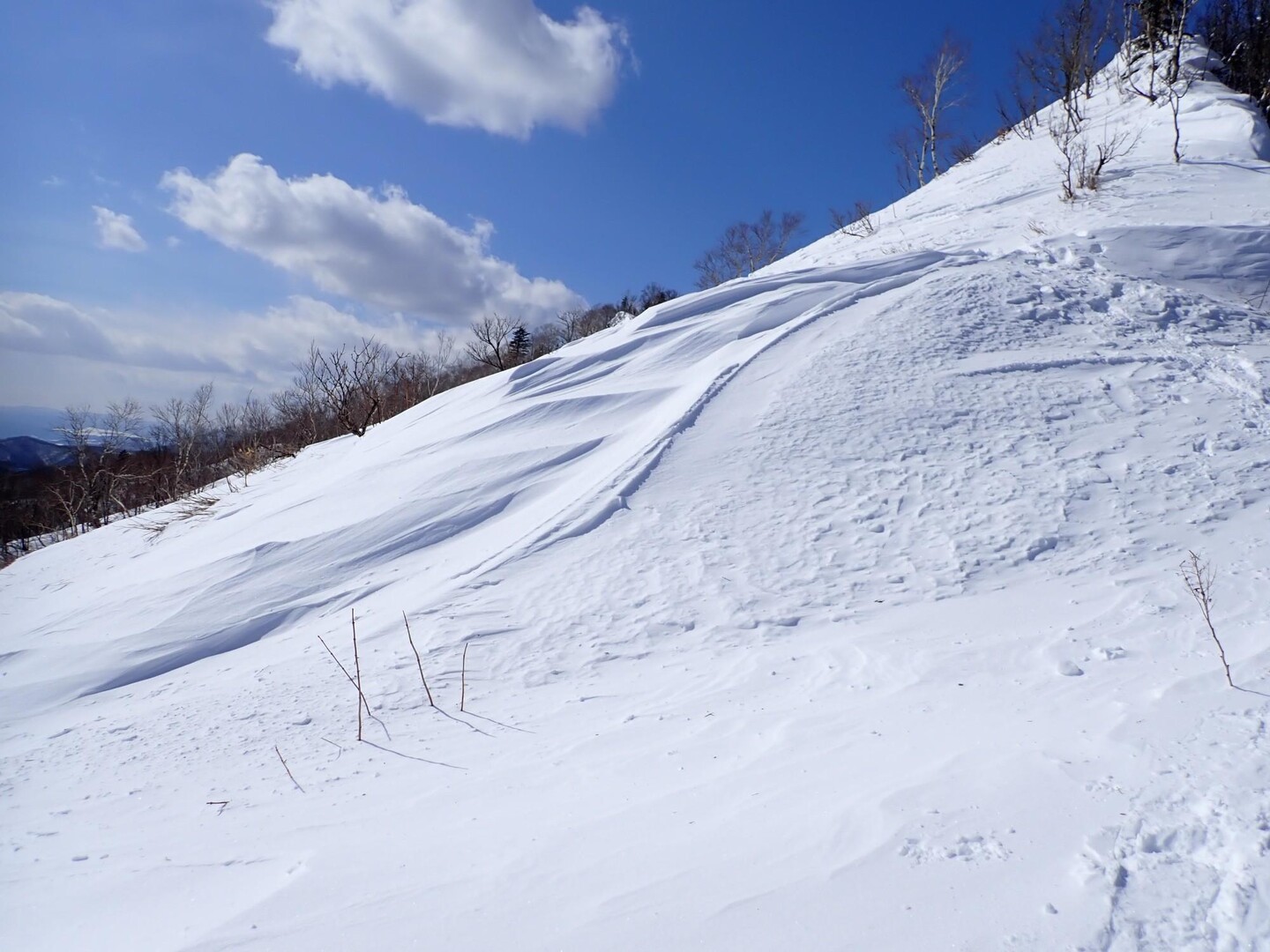仁頃山 東尾根道 / moneさんの仁頃山の活動データ | YAMAP / ヤマップ