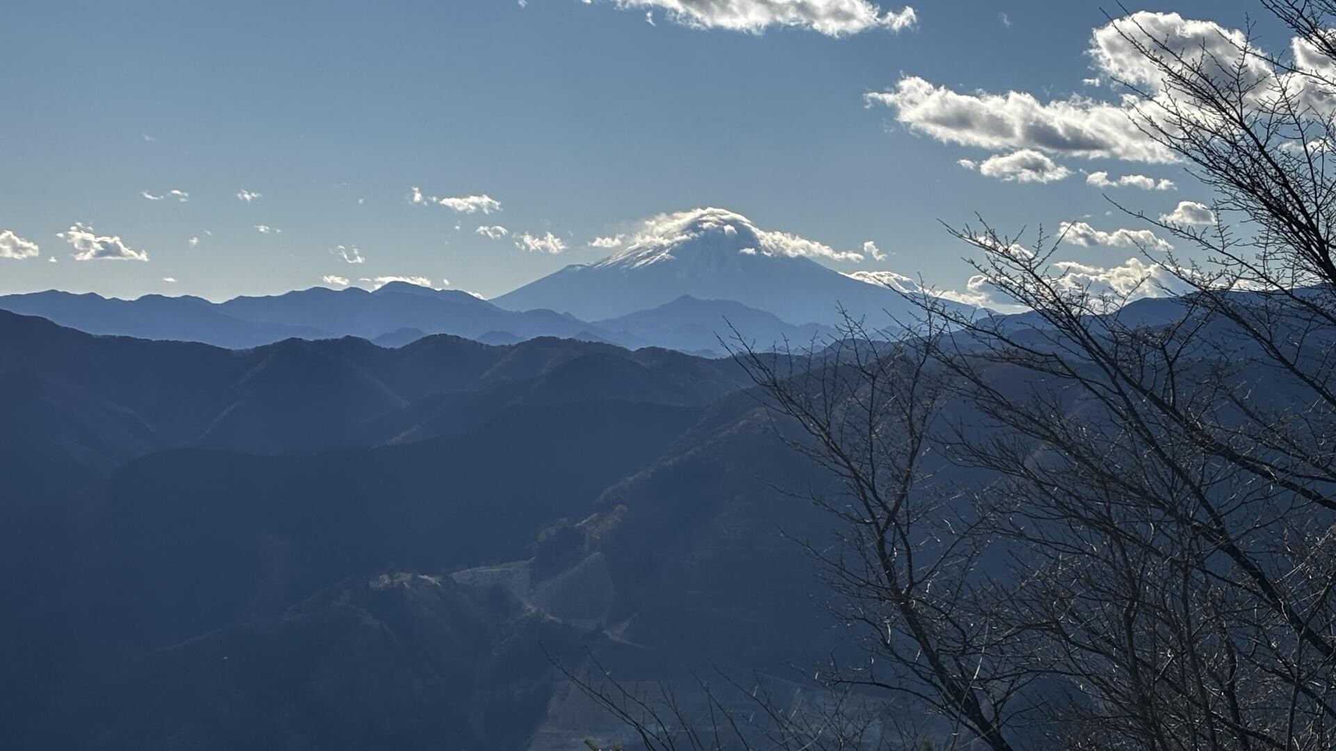 大岳から馬頭刈尾根伝いで瀬音の湯まで / ken-sukeさんの大岳山・御岳山・御前山の活動データ | YAMAP / ヤマップ