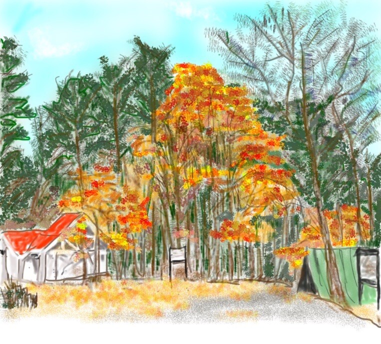 自分的には… 紅葉🍁が何だかグチャグチ... / clearkkさんのモーメント | YAMAP / ヤマップ