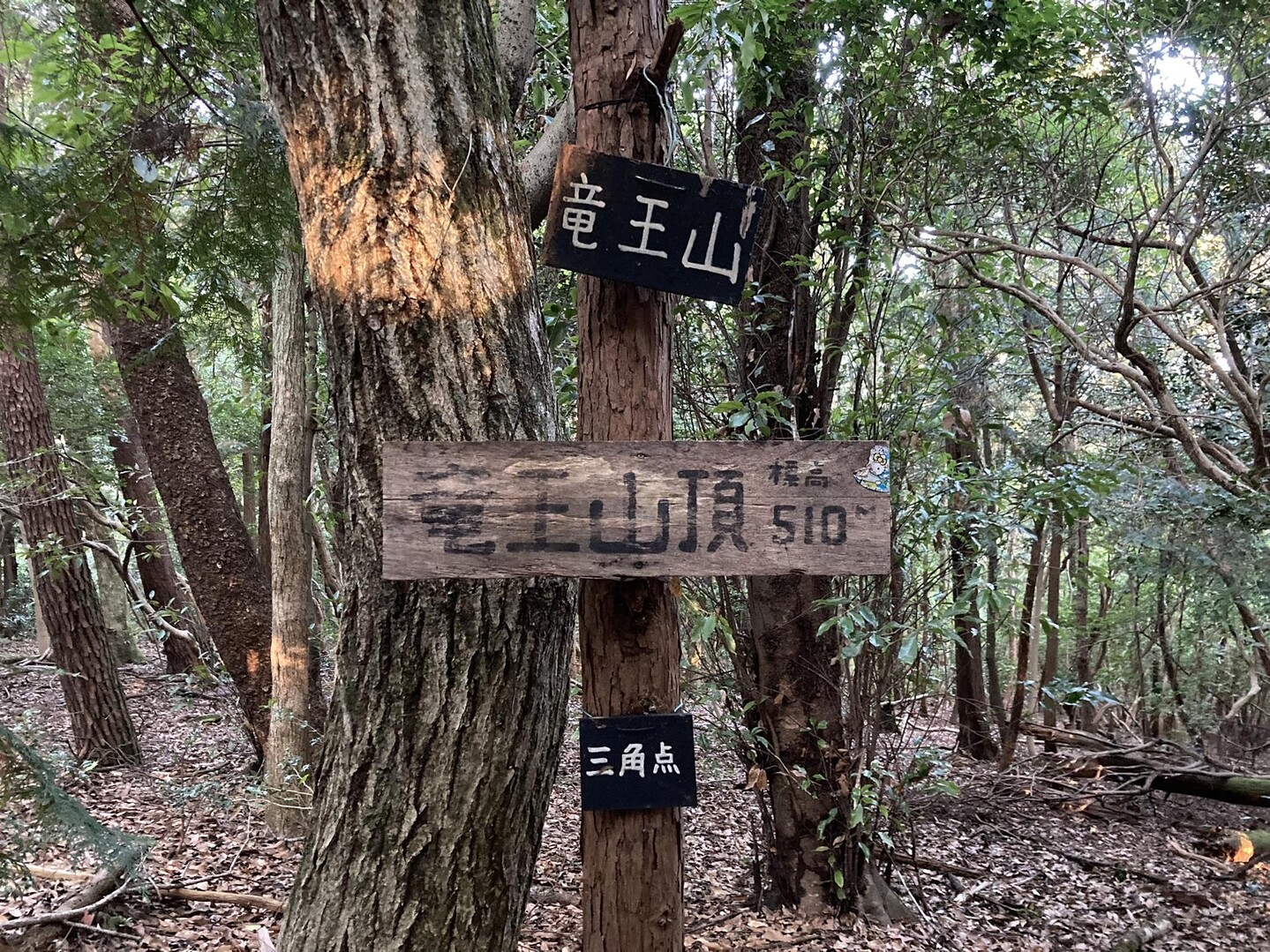 竜王山 / maecciさんの竜王山・阿武山の活動データ | YAMAP / ヤマップ